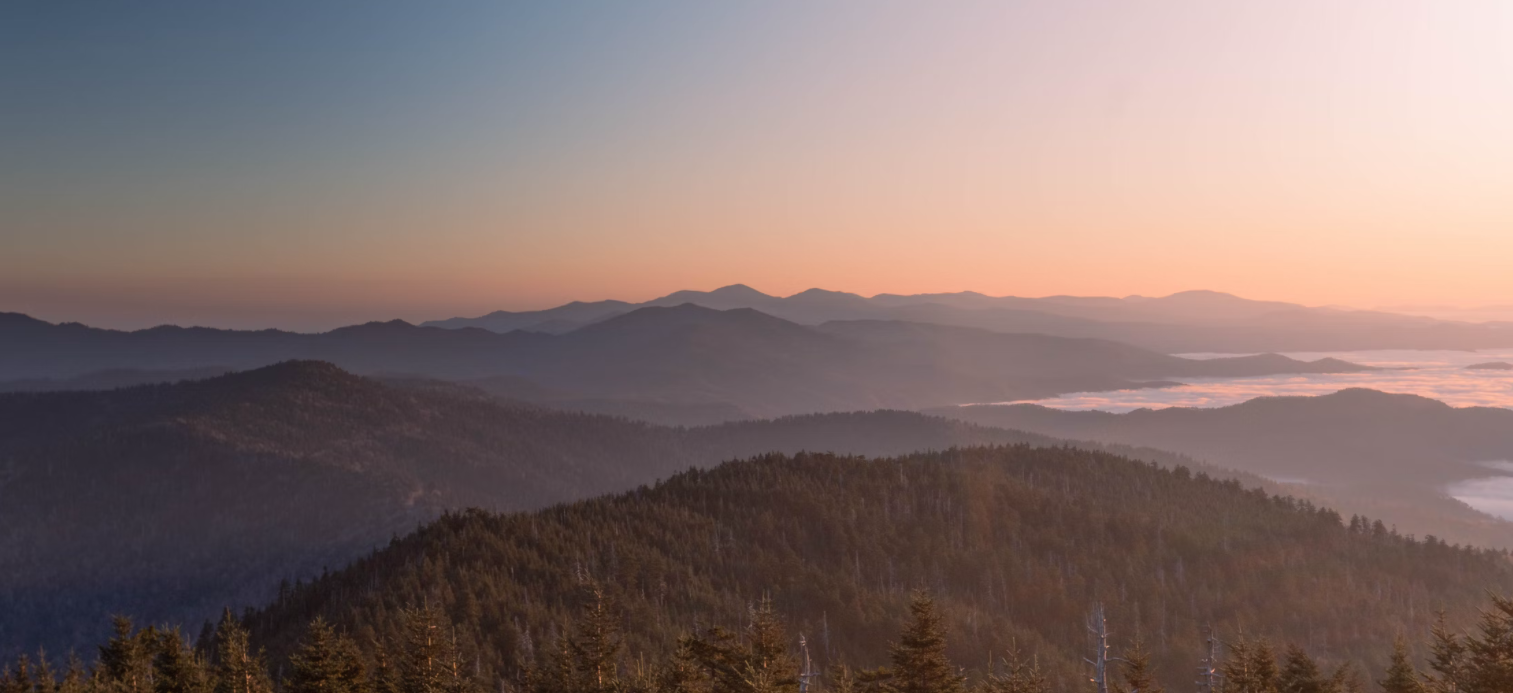 Friday Check-in: Slow down, take a breath, and reconnect with God 🌅 ...